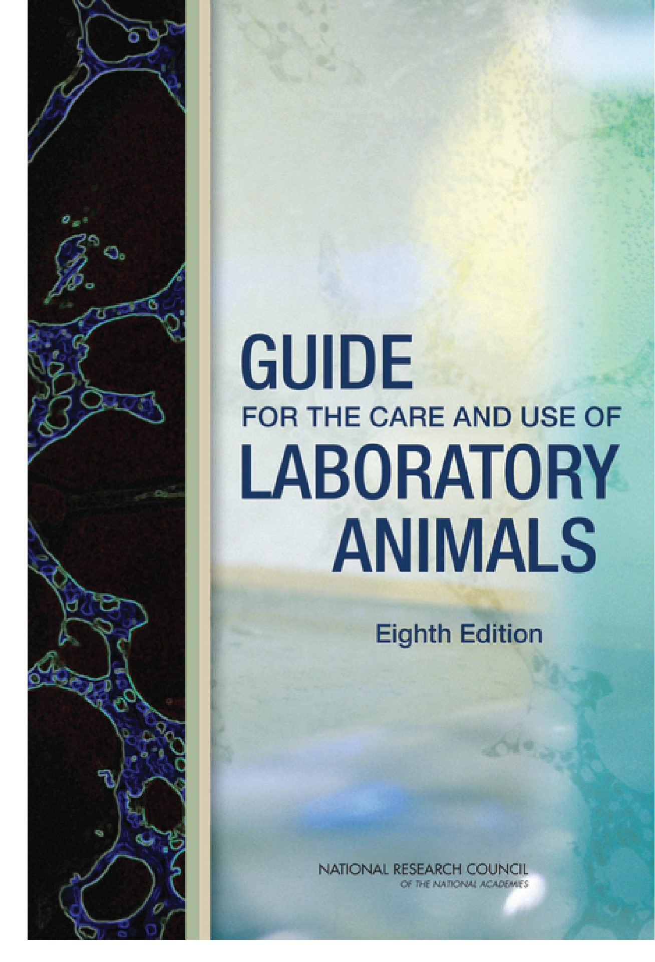 Did You Know? Translated Copies of The Guide Available for Download ...