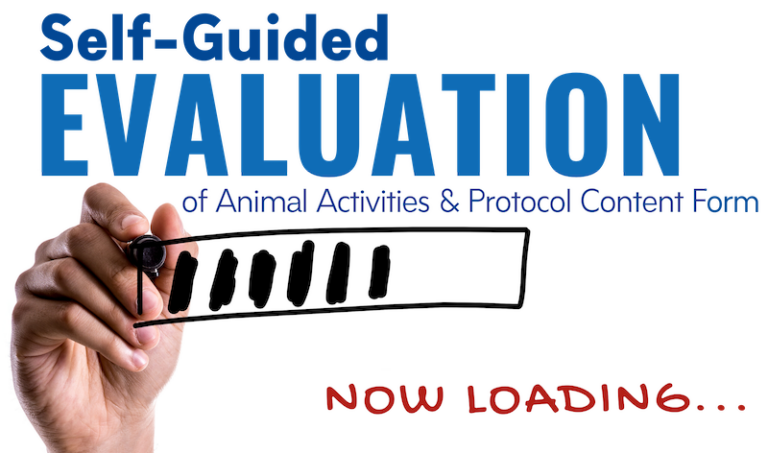 AAALAC Archives - Animal Care & Use Program