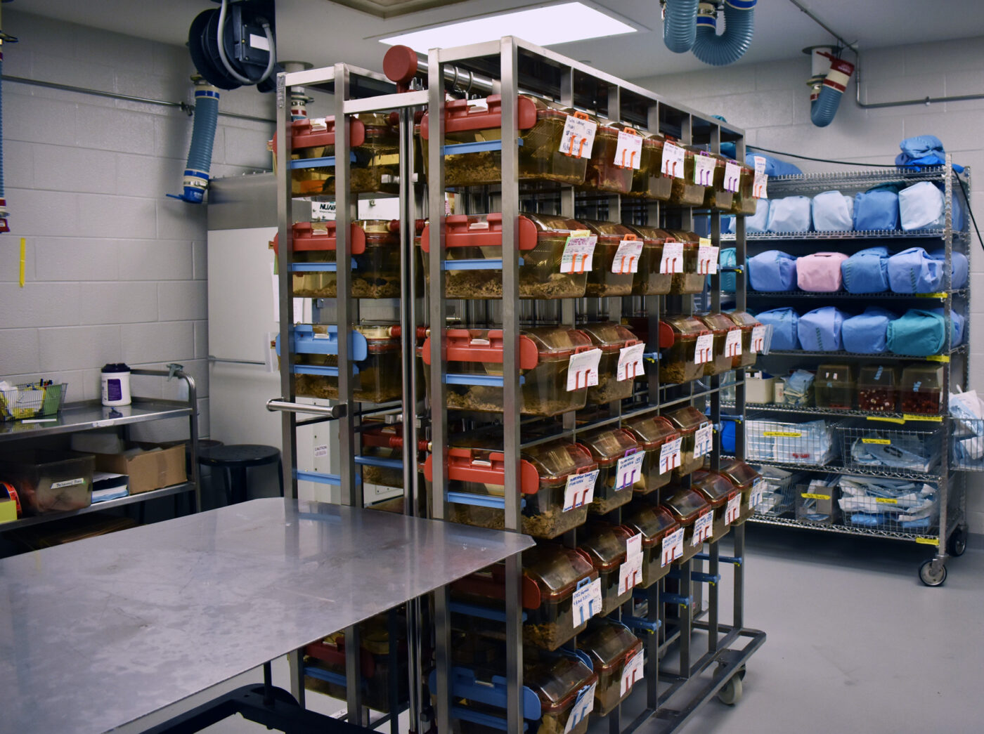 Germ-Free Mouse Facility - Animal Care & Use Program