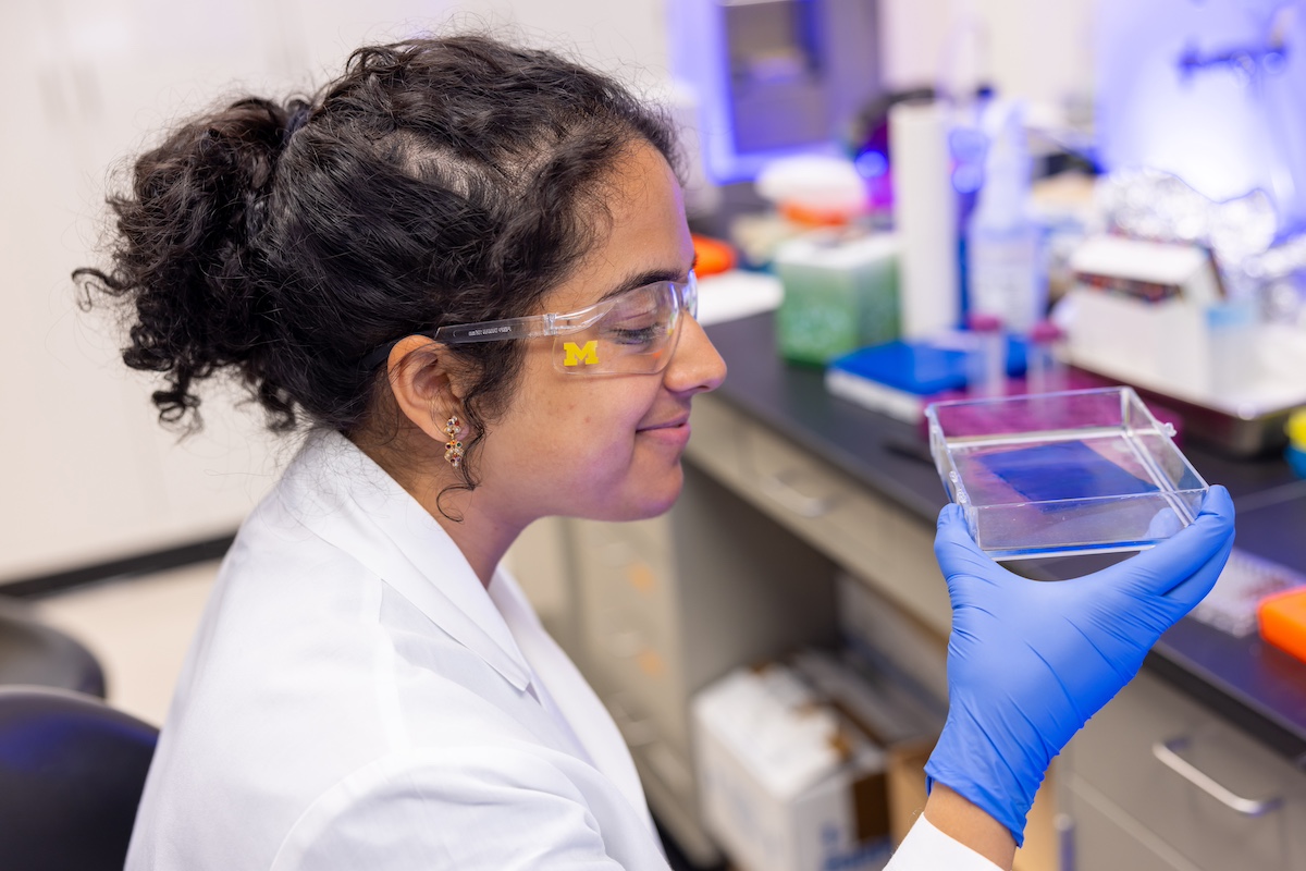Veterinary Student Summer Fellowships - Animal Care & Use Program