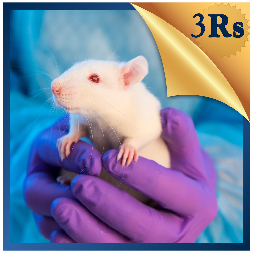 ARRIVE Prepared: Essentials for Reproducibility and Incorporating the ...